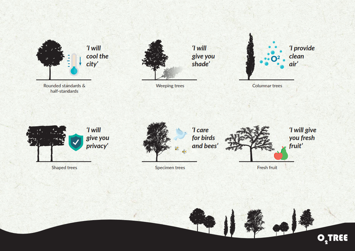 About O2 Tree | Part of the Betuwe Group